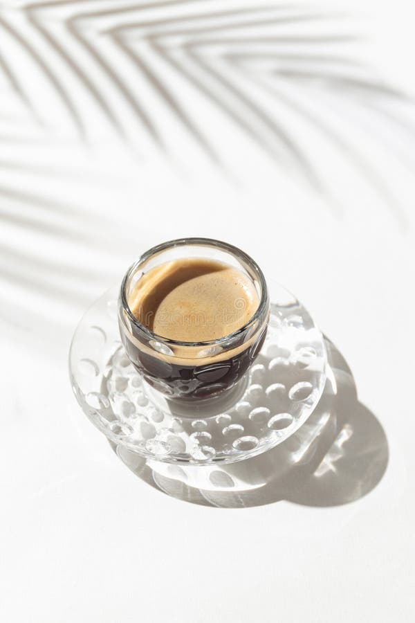 Cup Coffee White Background Palm Tree Leaf Shadow Stock Photos - Free ...