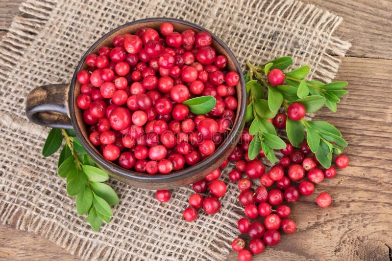 Cup with Cranberries on Wooden Table. Top View. Stock Image - Image of ...