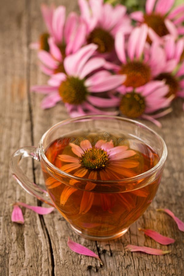 Cup Of Echinacea Tea On Wooden Table Stock Photo - Image of green ...