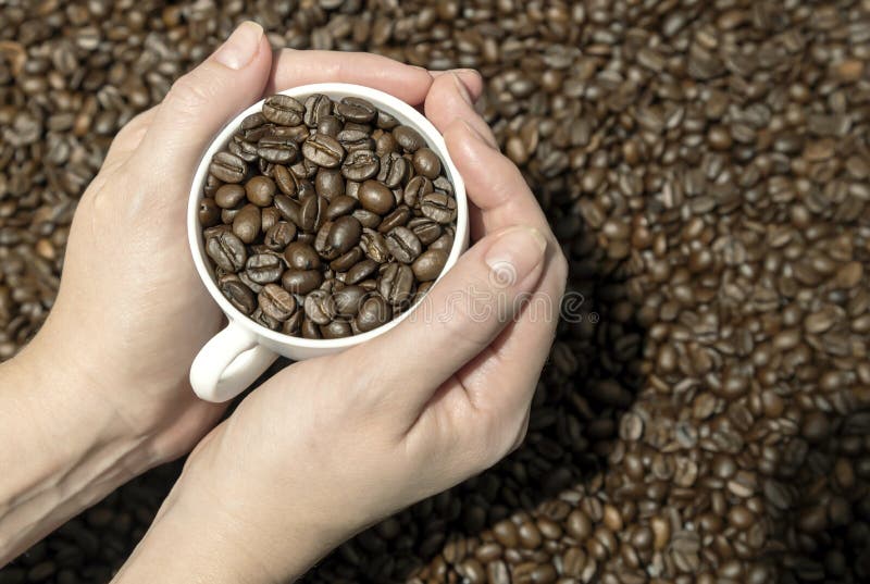 Cup Filled with Coffee Beans in Female Hands. Stock Image - Image of ...