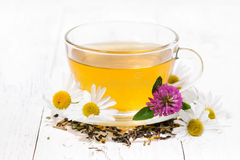 Cup of Fresh Fragrant Herbal Tea, Closeup Stock Photo - Image of floral ...