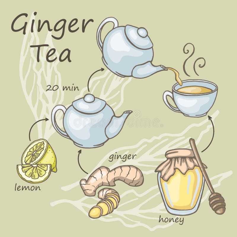 Ginger Lemon Tea Recipe Stock Illustrations – 85 Ginger Lemon Tea ...