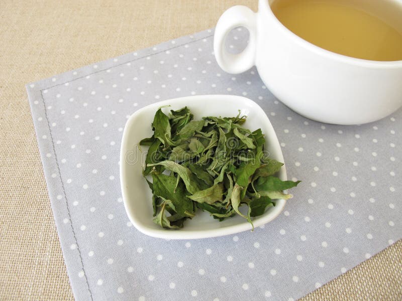 Goji leaves tea stock image. Image of herbal, wolfberry - 150696965