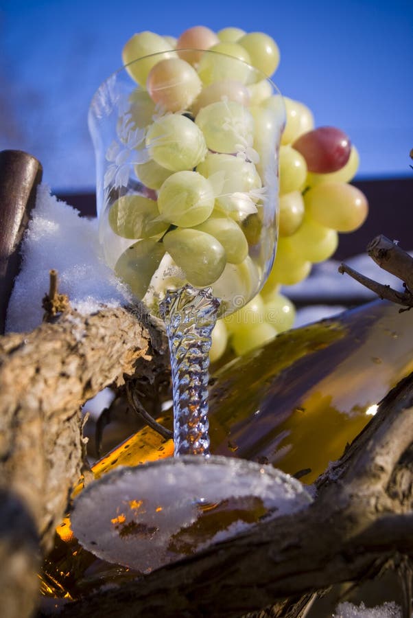 A cup of grapes stock image. Image of grapes, sweet, winter - 12811345