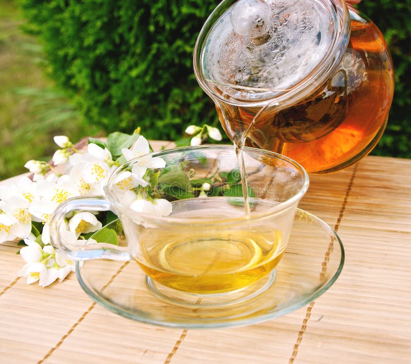 Cup of green tea stock image. Image of herb, lifestyle - 25959319