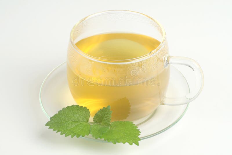 Cup of green tea stock image. Image of pure, morning, refreshing - 3235053