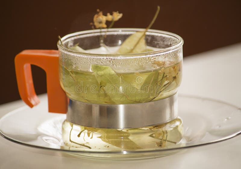 Cup of green tea stock photo. Image of leaf, health, leaves - 41774502