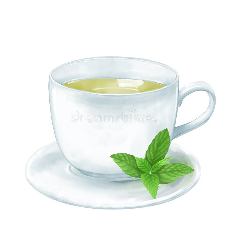 Cup of Green Tea and Mint Leaf Illustration. Stock Photo - Illustration ...