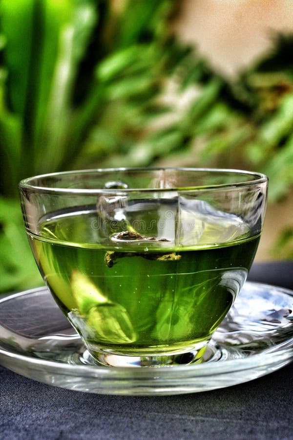 Cup with green tea stock photo. Image of close, fresh - 34286084