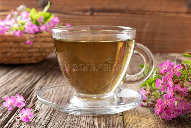 A Cup of Herb-Robert Tea with Geranium Robertianum Flowers Stock Image ...