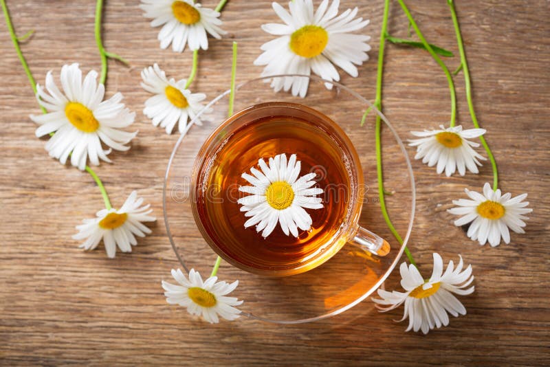 Cup of Herbal Chamomile Tea with Fresh Chamomile Flowers Stock Photo ...