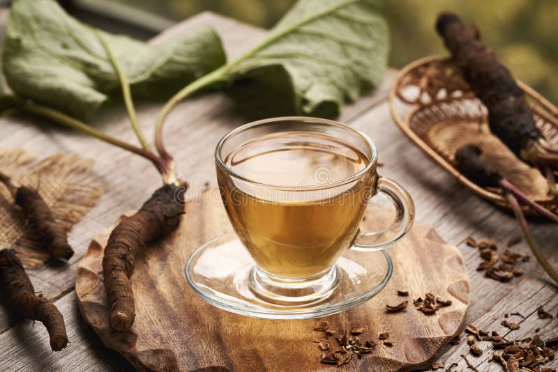 A Cup of Herbal Tea with Burdock Root Stock Illustration - Illustration ...