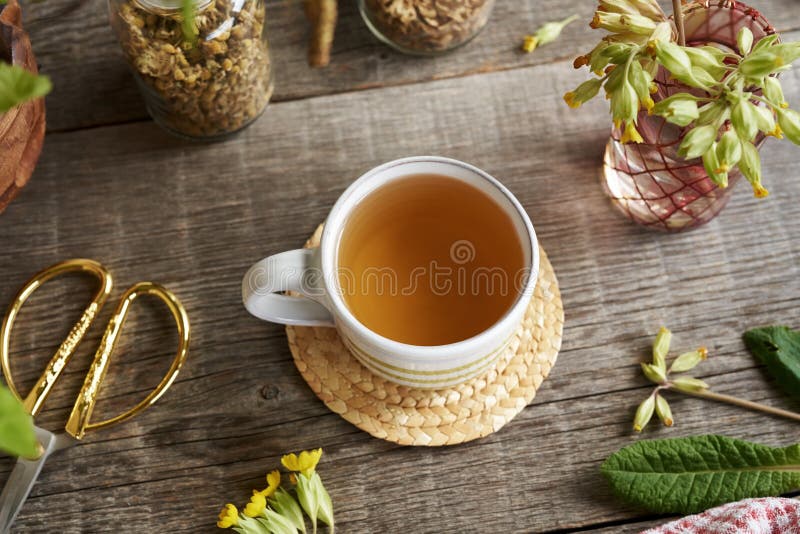 A Cup of Herbal Tea with Cowslip or Primula Flowers Stock Photo - Image ...