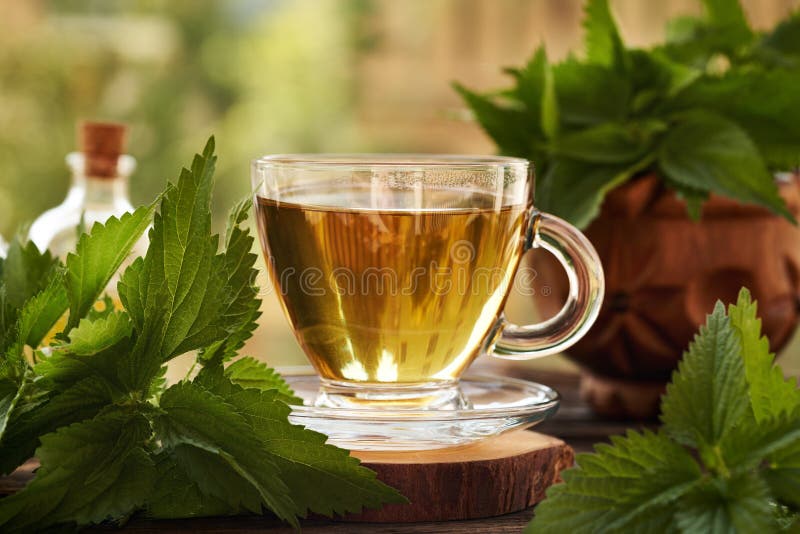 A Cup of Herbal Tea with Fresh Nettles on a Table Outdoors in Nature ...