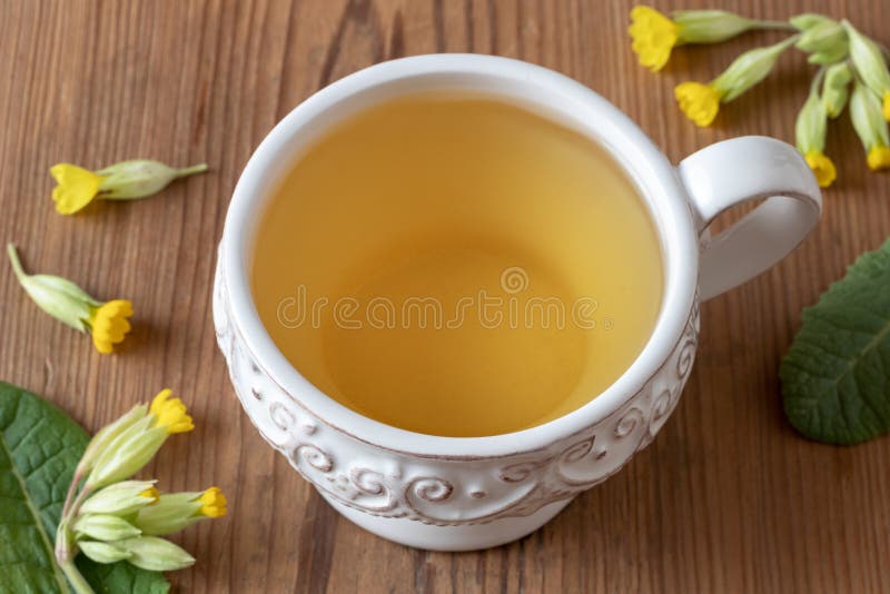 A Cup of Herbal Tea with Fresh Primula Flowers Stock Image - Image of ...