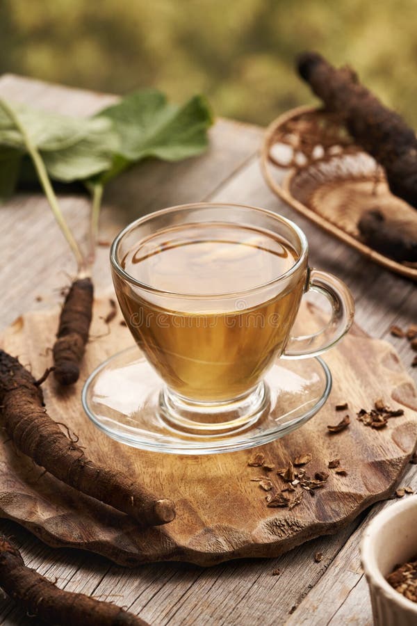 A Cup of Herbal Tea Made of Fresh Burdock Root Stock Illustration ...