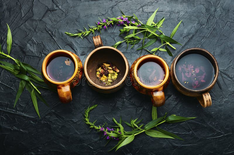 Therapeutic Fireweed Tea,fresh Willow Herb Stock Image - Image of ...