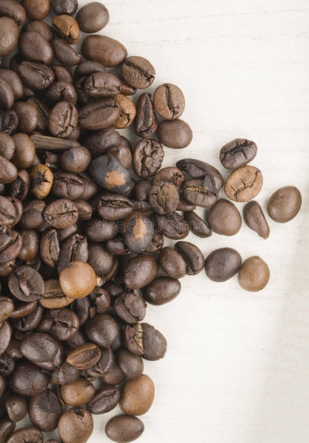 Seeds of coffee stock photo. Image of berry, grind, milk - 132409892