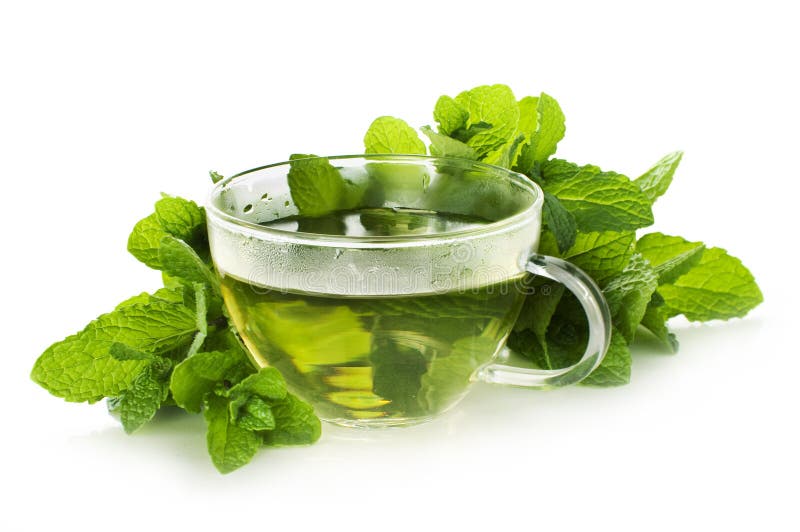 Cup of Hot Mint Tea and Fresh Mint Leaves Stock Photo - Image of glass ...
