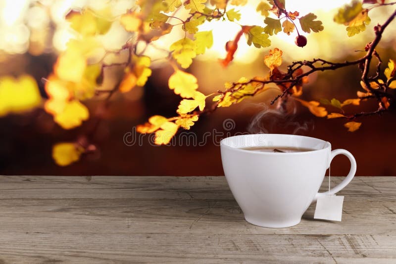 Cup of hot tea stock image. Image of london, healthy - 33373419