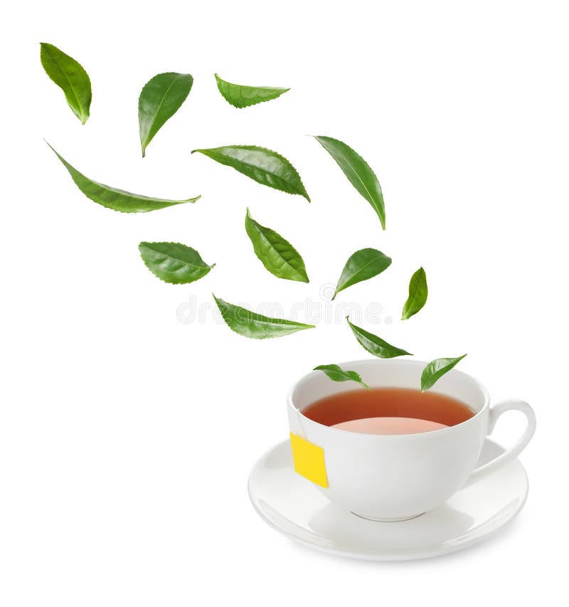 Cup of Hot Tea and Falling Green Leaves on White Background Stock Image ...