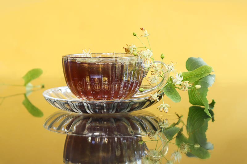 A Cup of Linden Tea on a Glass Surface, Close-up, Reflection from ...