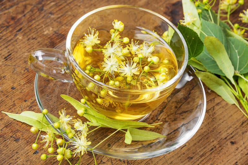 Dill tea stock photo. Image of fresh, petals, calm, nature - 44871648
