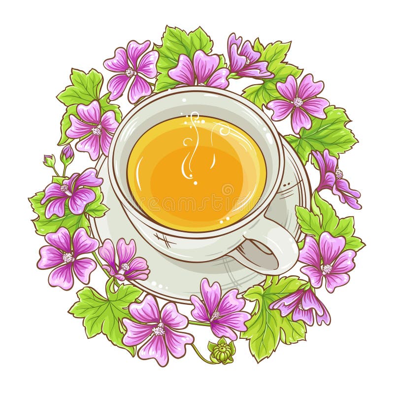 Mallow Tea Stock Illustrations – 149 Mallow Tea Stock Illustrations ...