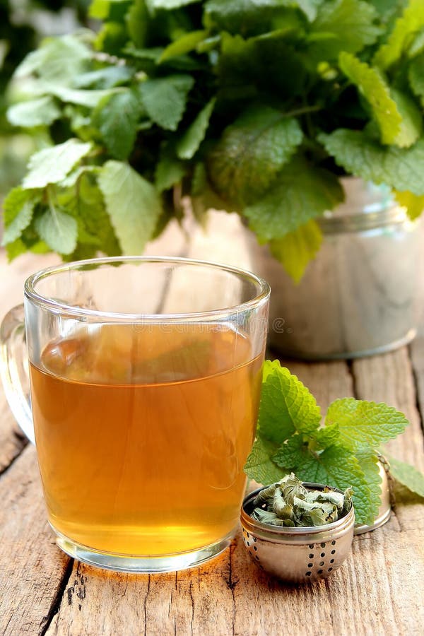 Cup of melissa tea stock photo. Image of antioxidant - 111207610