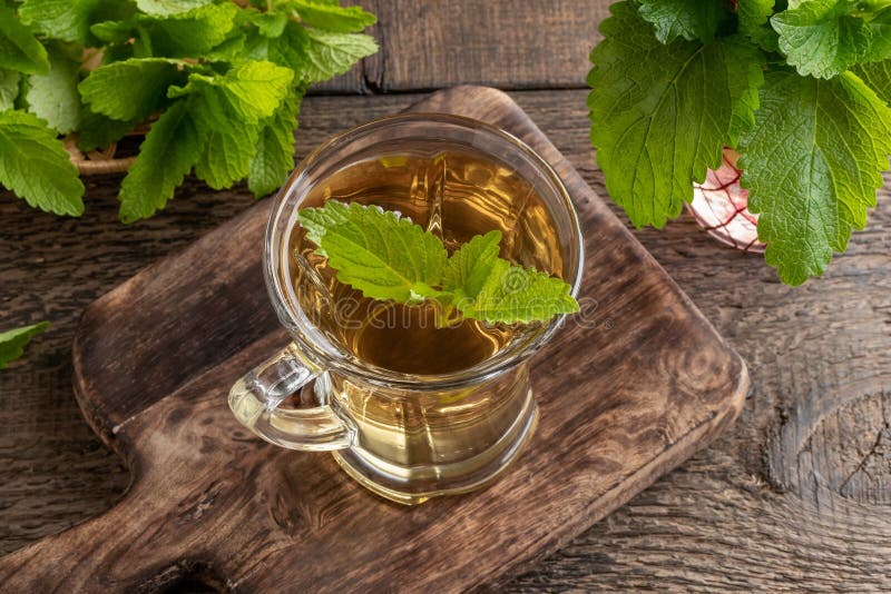 A Cup of Melissa Tea with Fresh Melissa Twigs Stock Image - Image of ...