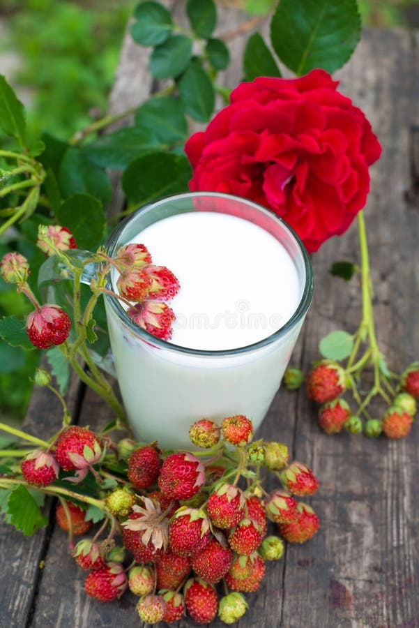 165 Scarlet Milk Stock Photos - Free & Royalty-Free Stock Photos from ...