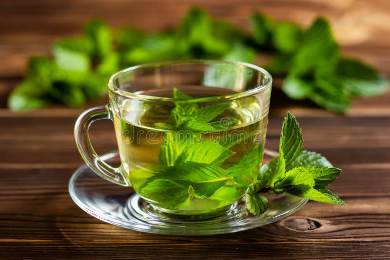 Cup of Mint Tea and a Bunch of Mint on the Table Stock Image - Image of ...