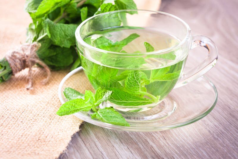 Cup of mint tea stock image. Image of invigorating, drink - 71798307