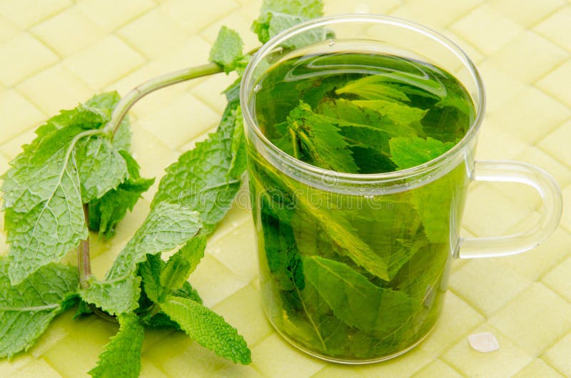 Cup of Mint Tea with Fresh Mint Stock Photo - Image of drink, mint ...