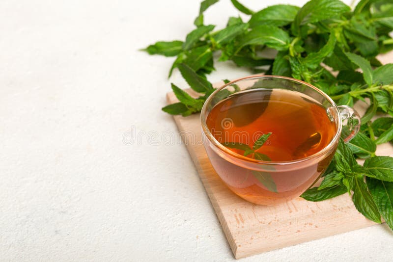 Cup of Mint Tea on Table Background. Green Tea with Fresh Mint Top View ...