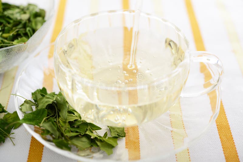 Moringa tea stock photo. Image of herbal, aroma, break - 114769510