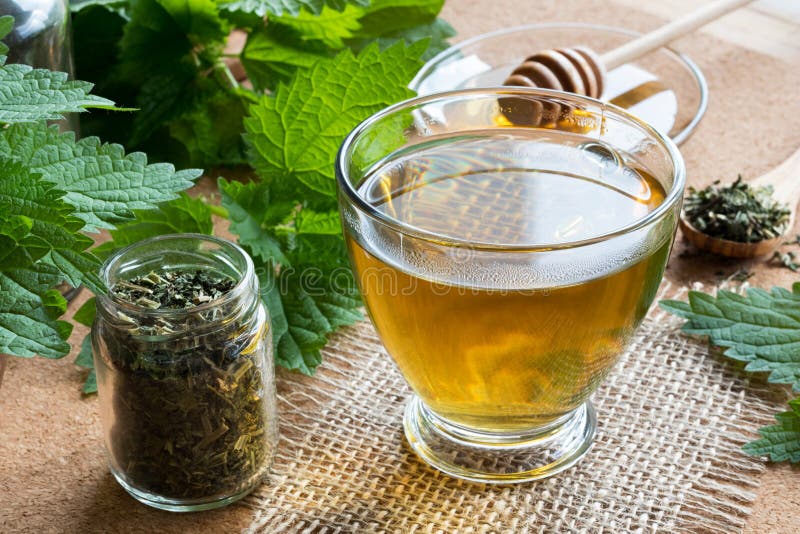 A Cup of Nettle Tea with Fresh and Dried Nettles Stock Photo - Image of ...