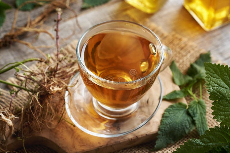 A Cup of Nettle Tea with Fresh Root and Leaves Stock Image - Image of ...
