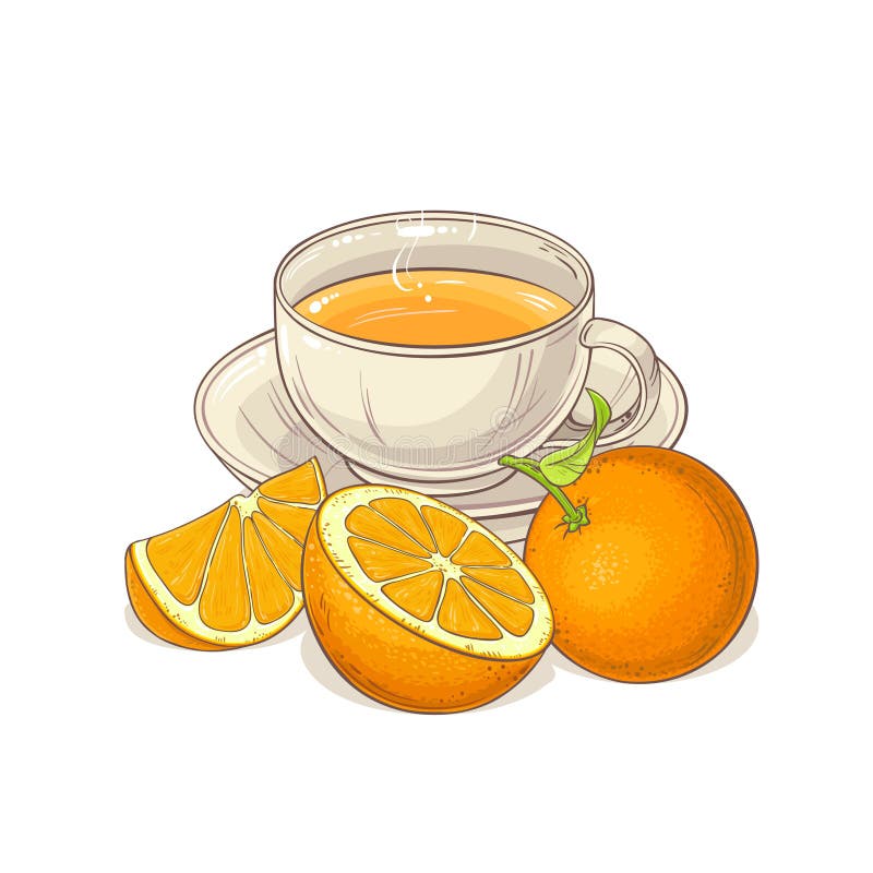 Orange tea illustration stock vector. Illustration of cartoon - 118608849