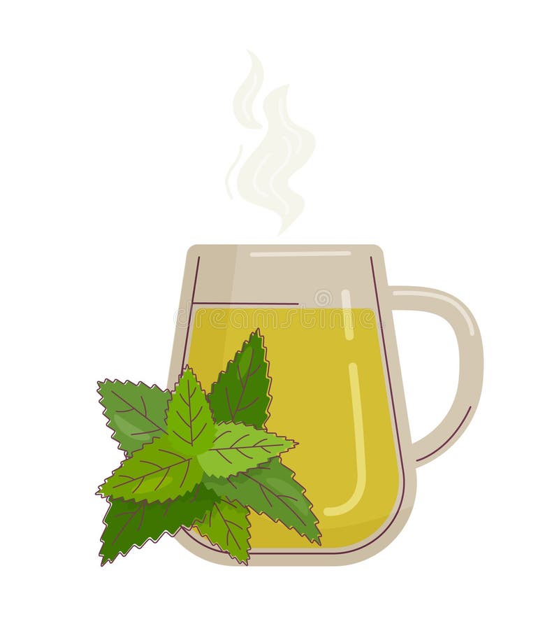 Cup of peppermint tea stock vector. Illustration of graphic - 239699441