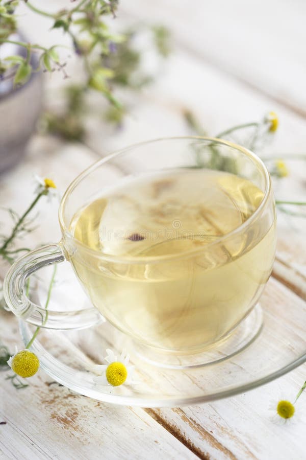 Cup of pure chamomile tea stock image. Image of drink - 42390823