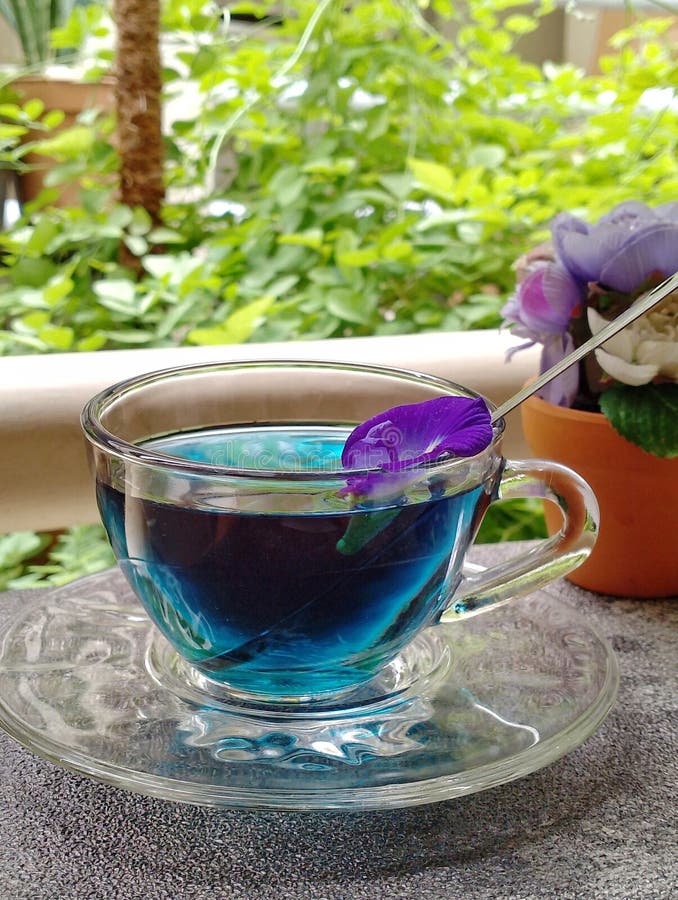A Cup of Purple Butterfly Pea Flower Tea Stock Photo - Image of blue ...