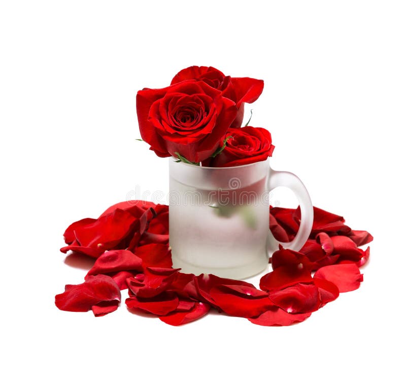 Cup and Red Roses in Petals Isolated on White Stock Photo - Image of ...