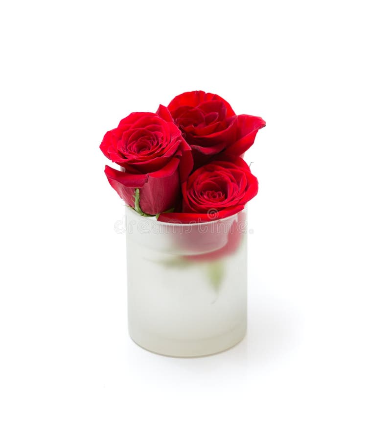 Cup and Red Roses in Petals Isolated on White Stock Image - Image of ...