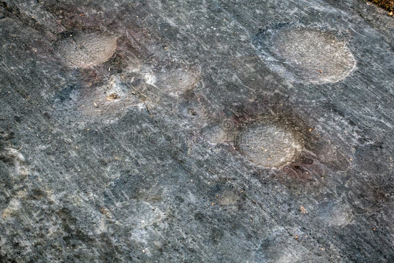 Prehistoric art stock photo. Image of animal, hunter - 98911256