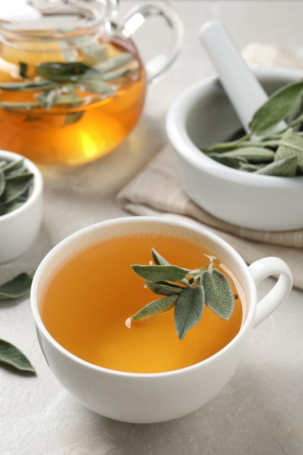 Cup of Sage Tea with Green Leaves on White Table Stock Image - Image of ...