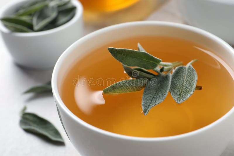 Cup of Sage Tea with Green Leaves on White Table, Closeup Stock Image ...