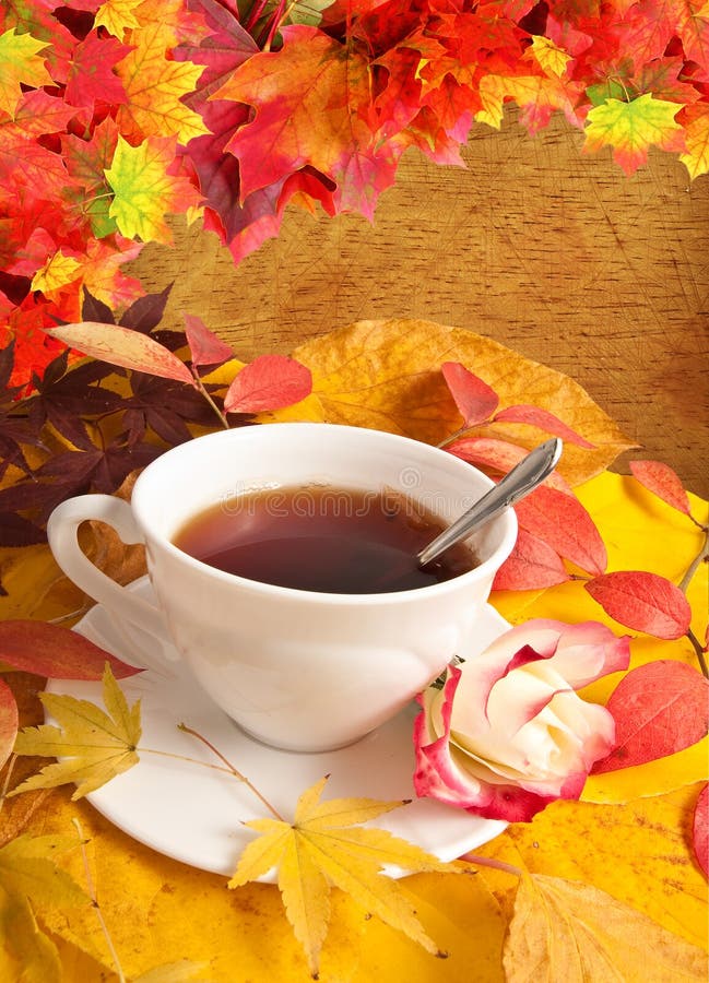 Fall Harvest Cornucopia. Cup of Hot Apple Tea for Autumn Season Warm ...