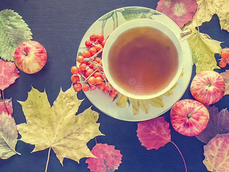 Cup of Tea, Autumn Leaves and Apples, Top View Stock Image - Image of ...