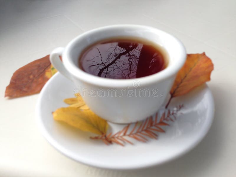 Cup of Tea with Autumn Leaves, Reflection of Sky and Trees Inside the ...